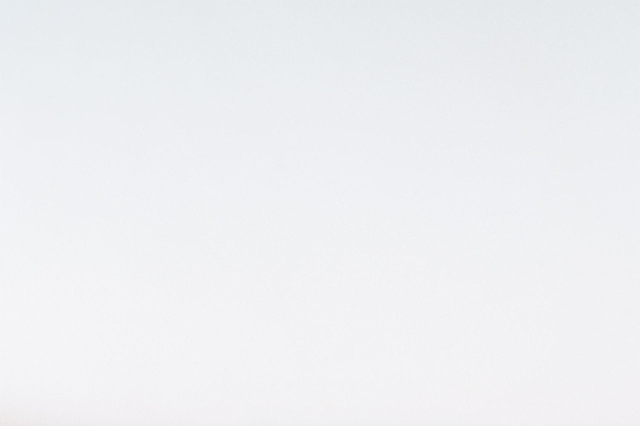 white-wall-bkg – Daniela Kucher